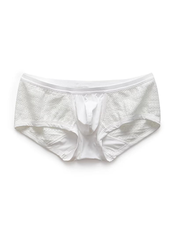 2 Pack Men's Sexy Semi-Sheer Lace Mesh Trunks with Contoured U-Pouch ...