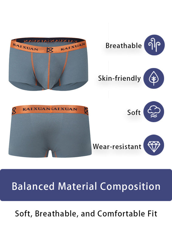 2 Pack Men's Modal Simple Skin-Friendly Trunks | MR SAKER – Mr Saker