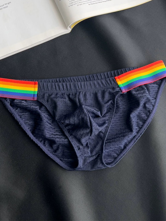 Men's Sexy Rainbow Pride Mesh Bikini | Mr Saker