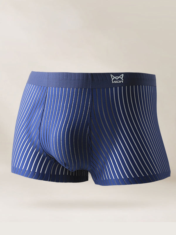 2 Pack Silk Striped Men's Super Thin Underwear – Mr Saker